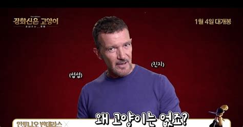 안토니오 반데라스x플로렌스 퓨가 전한 새해 인사왜 고양이는 없죠