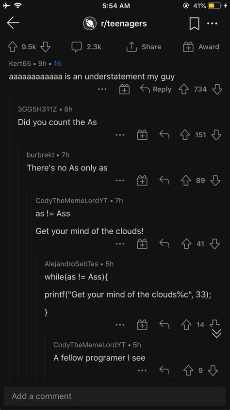 a fellow programmer i see r programmerhumor