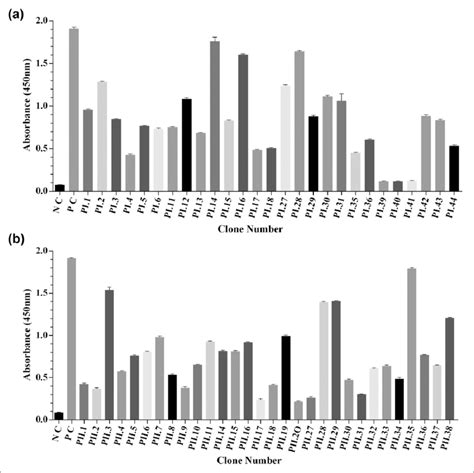 Results Of Periplasmic Extract Elisa Individual Scfv Positive Clones