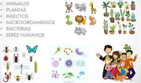 Seres Bióticos Y Abióticos