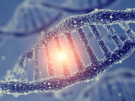 Rare Mutation Offers Type 1 Diabetes Insights