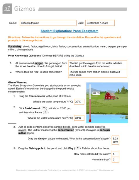 Pond Ecosystem Exploration Worksheet