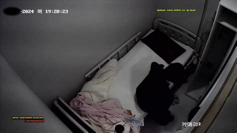 Ipman Hacked Ipcam 2 Eporner