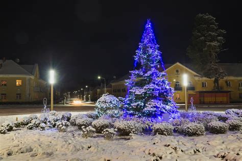 Egles Iedegšana Sedā Valmieras Novads