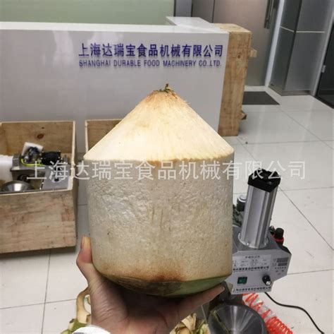 R多功能嫩椰去皮机 商用海南椰子刮皮机 全自动泰国椰青削皮机 阿里巴巴