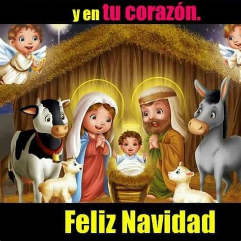 Efrain Reyes Youtube