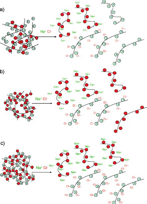 Schematic Illustration Of The Screening Of Polyacid And Polybase Ionic