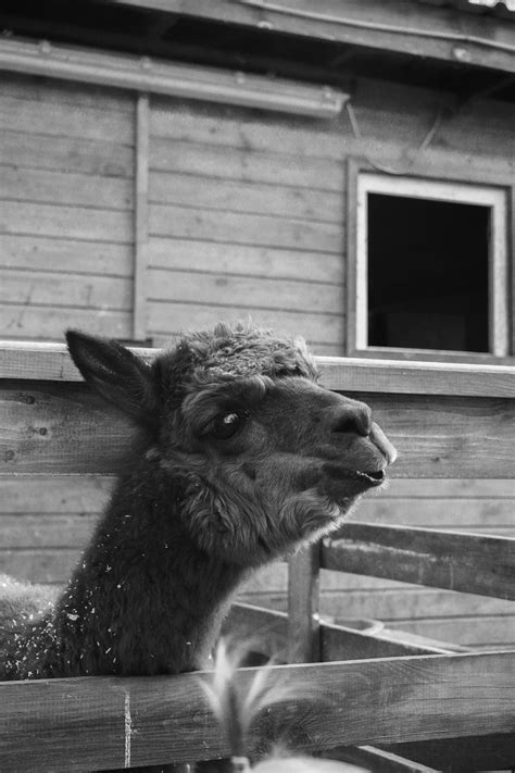 Flutedglasstexture Photos Download The Best Free Flutedglass