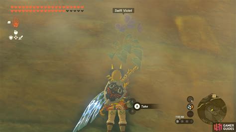 Swift Violet The Legend Of Zelda Tears Of The Kingdom Database