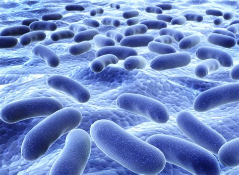 Amigdalite Bacteriana Causas Sintomas E Tratamento