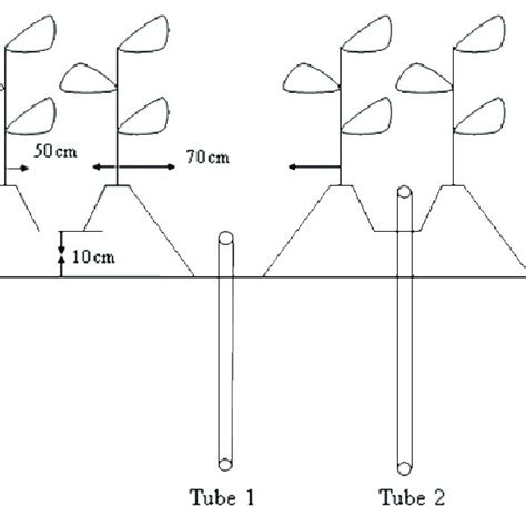 Layout Of Three Furrow Irrigation Methods In Field Experiment Every