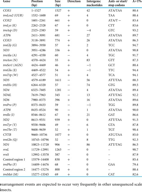 Mitochondrial Genome Structure Of Ceroplastes Rubens Download