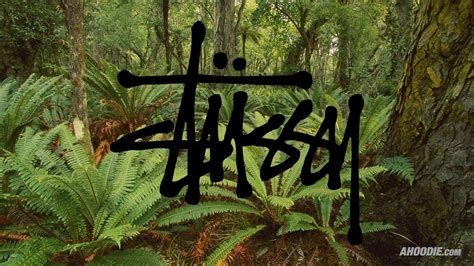 Stussy Wallpapers Top Free Stussy Backgrounds Wallpaperaccess