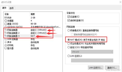 记录4 Vmware配置多个网络（两个桥接一个nat）vmware 双网卡桥接 Csdn博客