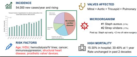 Valvular Disease Flashcards Quizlet