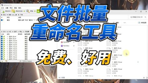 分类 电脑软件 下的文章