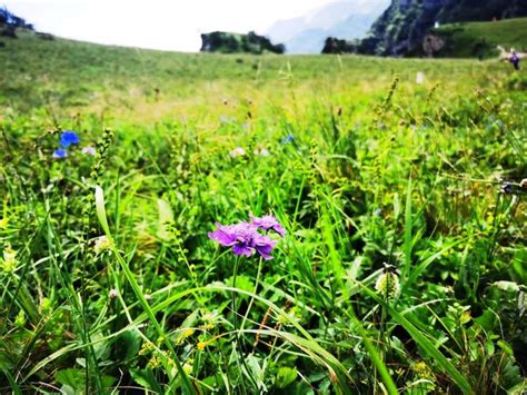 Mro及mixin继承 知乎