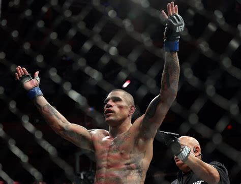 Ufc 281 Alex Pereira Knocks Out Israel Adesanya Claims Middleweight Title Inquirer Sports