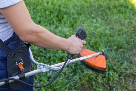 The Different Types Of Pruning Thinning Crown Reduction And More