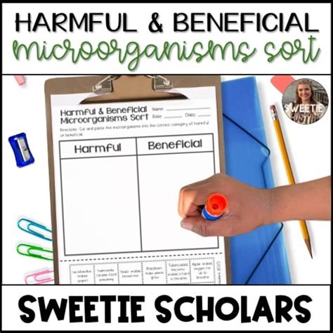Harmful And Beneficial Microorganisms Sort By Sweetie Scholars Tpt