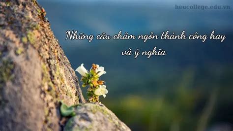200 Câu Châm Ngôn Thành Công Của Những Doanh Nhân Nổi Tiếng