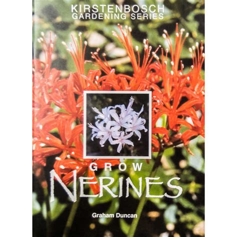 Grow Nerines Seeds Buy Online