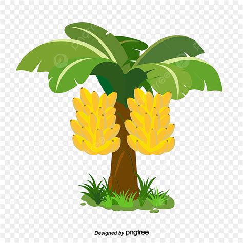 Banana Tree Cartoon Images English Unite Bats Clip Art Banana Tree