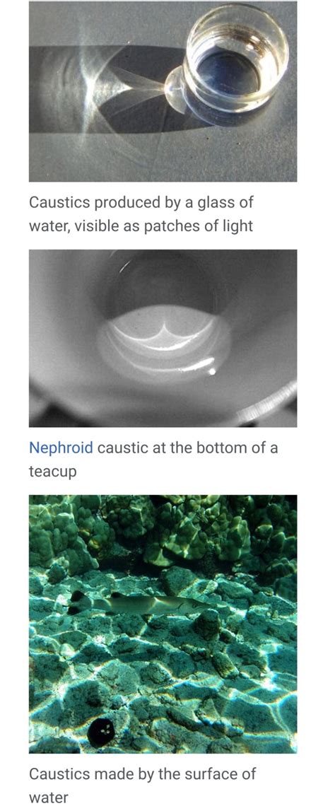 Seemed Like A Good Idea At The Time Super Moose Tumblr Blog Tumlook