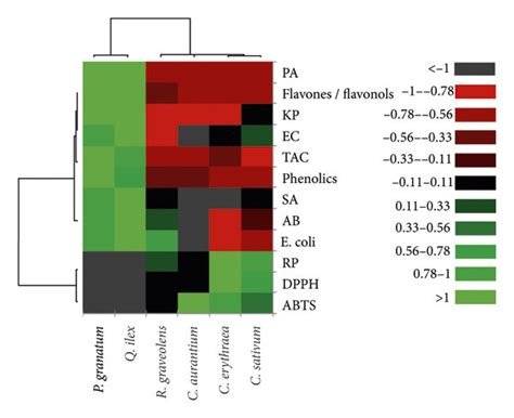 Heatmap Representation Of Antioxidant And Antibacterial Correlations