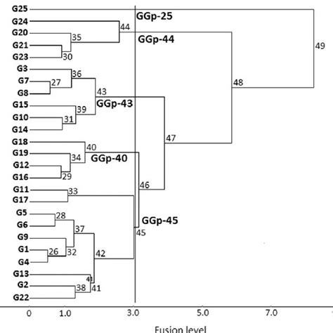 Environment Dendrogram Showing Hierarchical Classification Of 21 Download Scientific Diagram