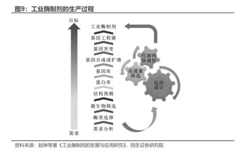 2021年全球酶制剂市场竞争格局 2024年02月 行业研究数据 小牛行研
