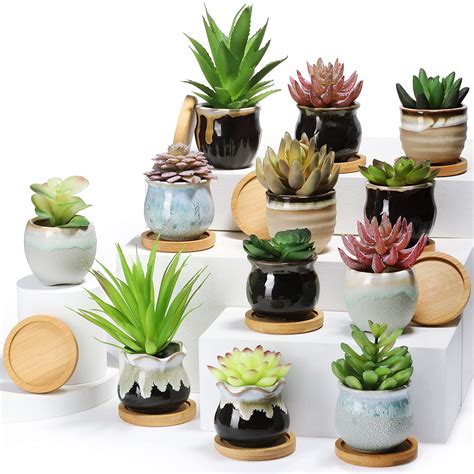 Small Succulent Pots Top Picks For 2023