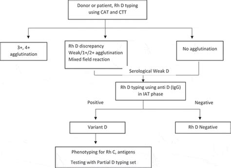 Agglutination Chart
