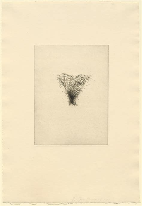 Four Kinds Of Pubic Hair Cleveland Museum Of Art