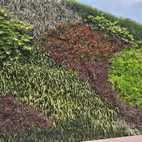 Transform Your Walls With Vertical Gardening Plantly