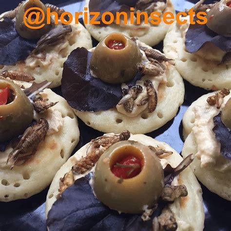 The Best Edible Insect Recipes Unusual And Delicious