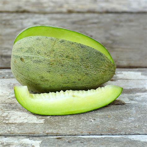 Melon Seeds Many Varieties Baker Creek Heirloom Seeds
