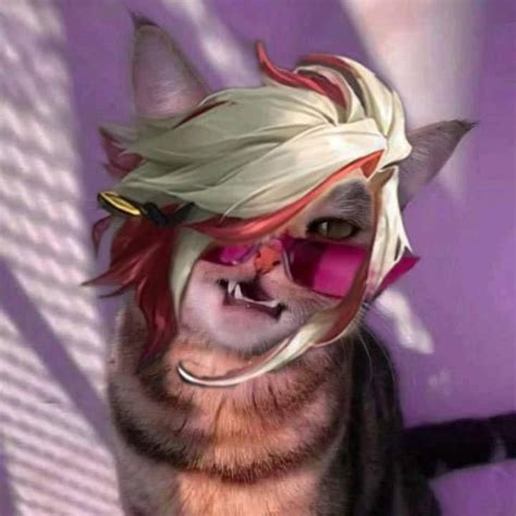 Melissa Mlbb Cat Icon Made By Raiisasananu