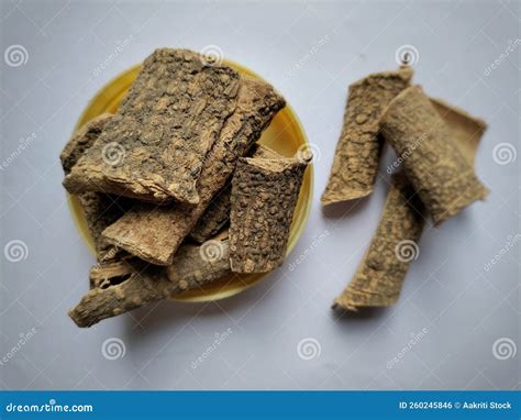 Pongamia Pinnata Or Karanja Is An Important Ayurvedic Medicine Stock