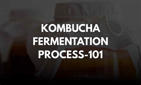 Kombucha Fermentation Process 101 Booch