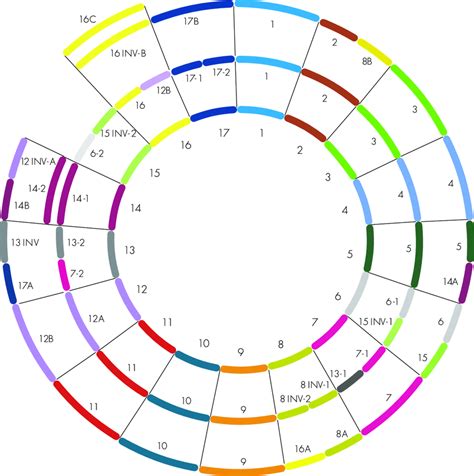 Circle Diagram Depicting Macrosynteny Among The Genomes Of Three Download Scientific Diagram