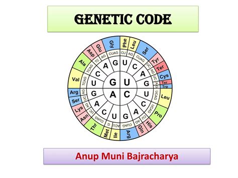 Genetic Code And Its Properties Pdf