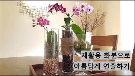 플라스틱 난 화분의 장점과 활용법