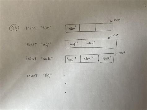 Solved Python 2 3 4 Trees9a Draw By Hand What A 2 3 4