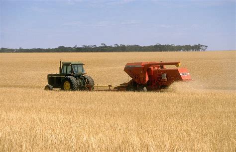 Wheat Types And Their Yields In Australia