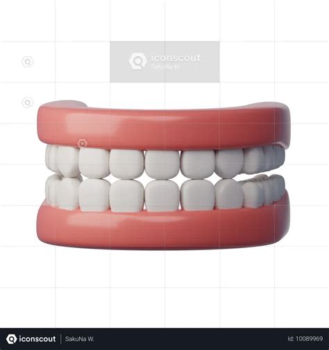 Denture 3d Icon Free Download Healthcare And Medical 3d Icons Iconscout