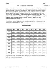 Exercise Polygenic Inheritance Docx Name Date Unit Polygenic Inheritance Exercise