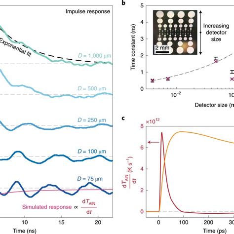 Ultrafast Pyroelectric Photodetection With On Chip Spectral Filters
