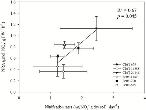 Linear Regression Between Nitrate Reductase Activity Nra In Leaf Download Scientific Diagram