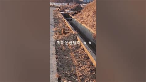 엄마찾아 삼만리ㆍㅠ Youtube